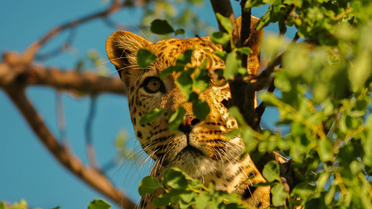 How to Keep AI from Generating Incorrect Information - Managing Editor